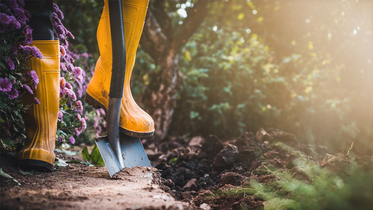 Digging Deeper: 10-Hour Professional Learning Course - Virtual Virginia